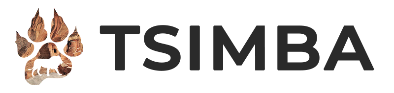 Tsimba Archaeological Footprints | The Heritage Portal